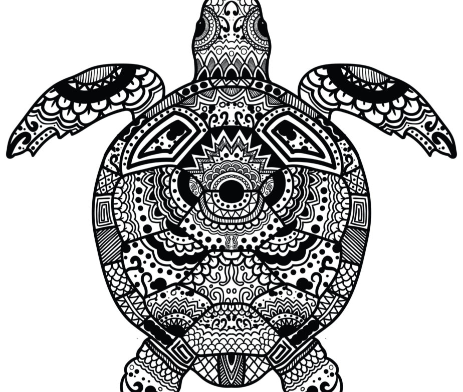 XXL pobarvanka – Mandala želva | Packa