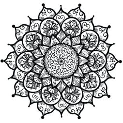 XXL pobarvanka – Gozdne živali | Packa